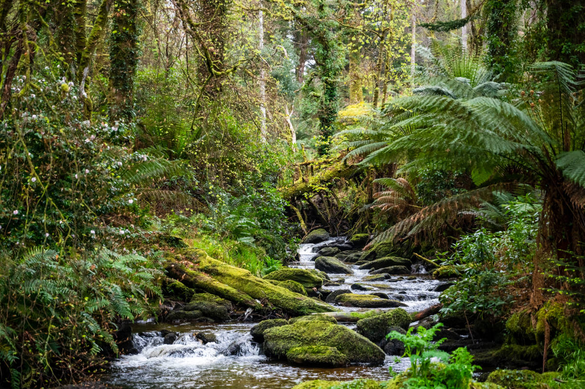 Kells Bay House & Gardens – Wild Atlantic Way Gem