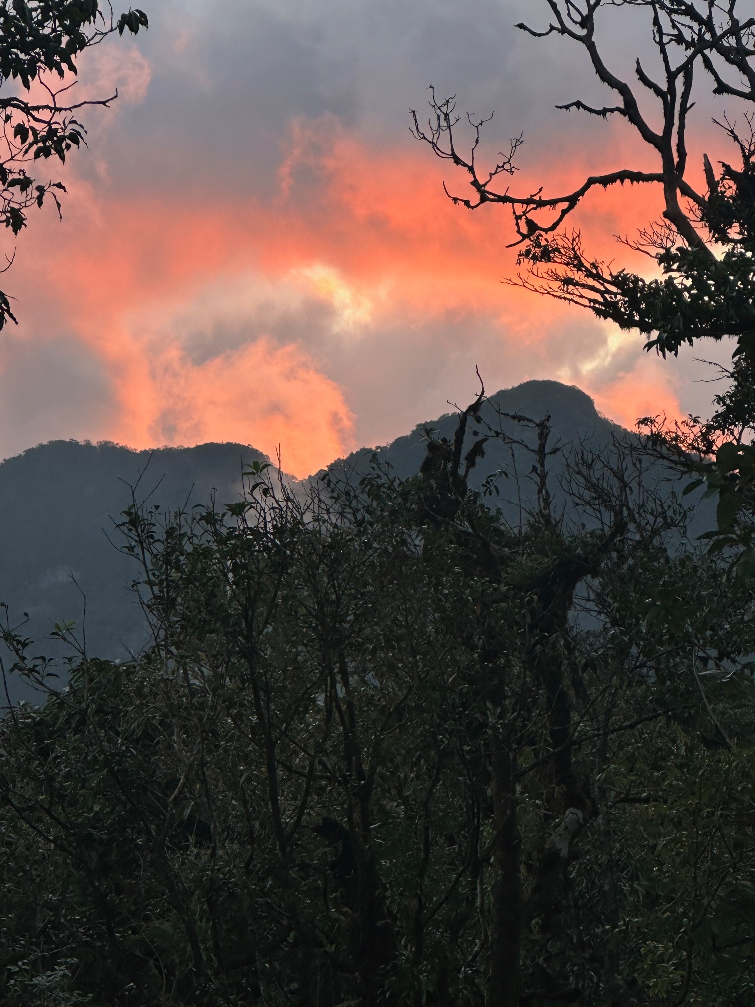Pu Ta Leng Mountain Trek – Vietnam Adventure